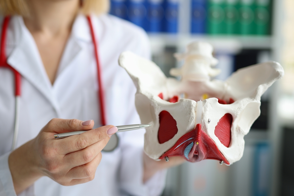 7 Signs You May Have Pelvic Organ Prolapse Dr Leslie Kardos